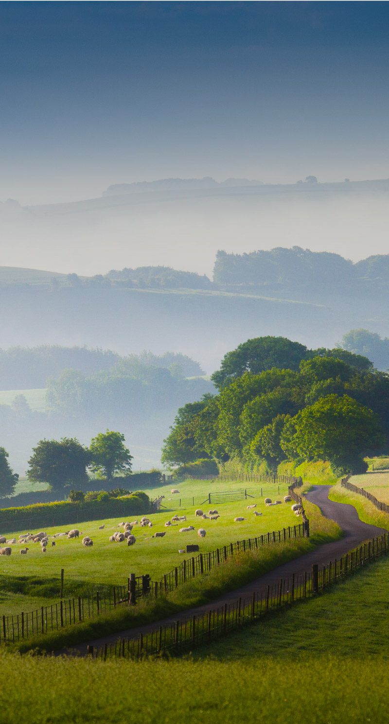 Rural Property For Sale | Country Houses for Sale | Rural View Estate ...